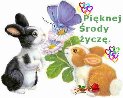 Pieknej Srody Pozdrowienia Na Srode