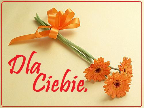 Dla ciebie gerbery - Gify i obrazki na GifyAgusi.pl