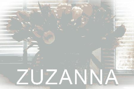Napis Zuzanna na samochodzie - Gify i obrazki na GifyAgusi.pl