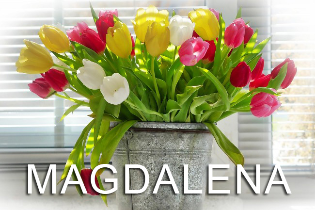 Tulipany z napisem Magdalena - Gify i obrazki na GifyAgusi.pl