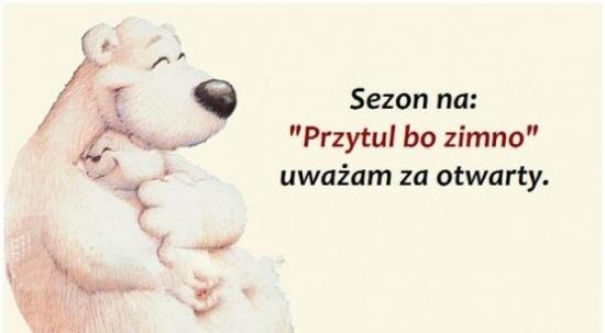 Dwa misie otwierają sezon przytul bo zimno - Gify i obrazki na GifyAgusi.pl