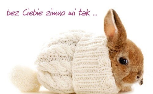 Króliczek w czapeczce zimno mi - Gify i obrazki na GifyAgusi.pl