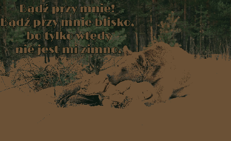 Pies i kot chcą wejść do domu zimno - Gify i obrazki na GifyAgusi.pl