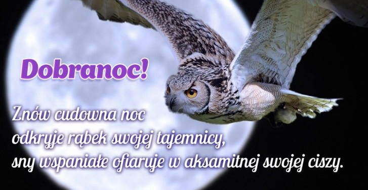 Lecąca sowa z pozdrowieniami na dobranoc - Gify i obrazki na GifyAgusi.pl