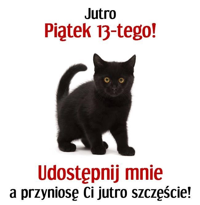 Czarny kotek przypomina, że jutro piątek 13-go - Gify i obrazki na ...