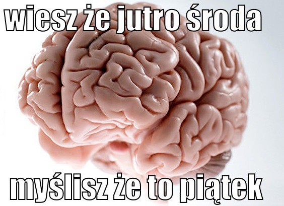 Mózg jutro środa - Gify i obrazki na GifyAgusi.pl