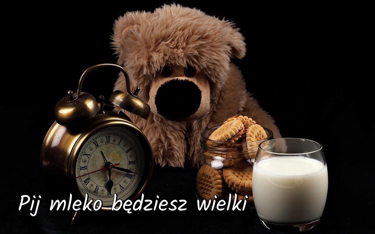 Miś zachęca do picia mleka - Gify i obrazki na GifyAgusi.pl